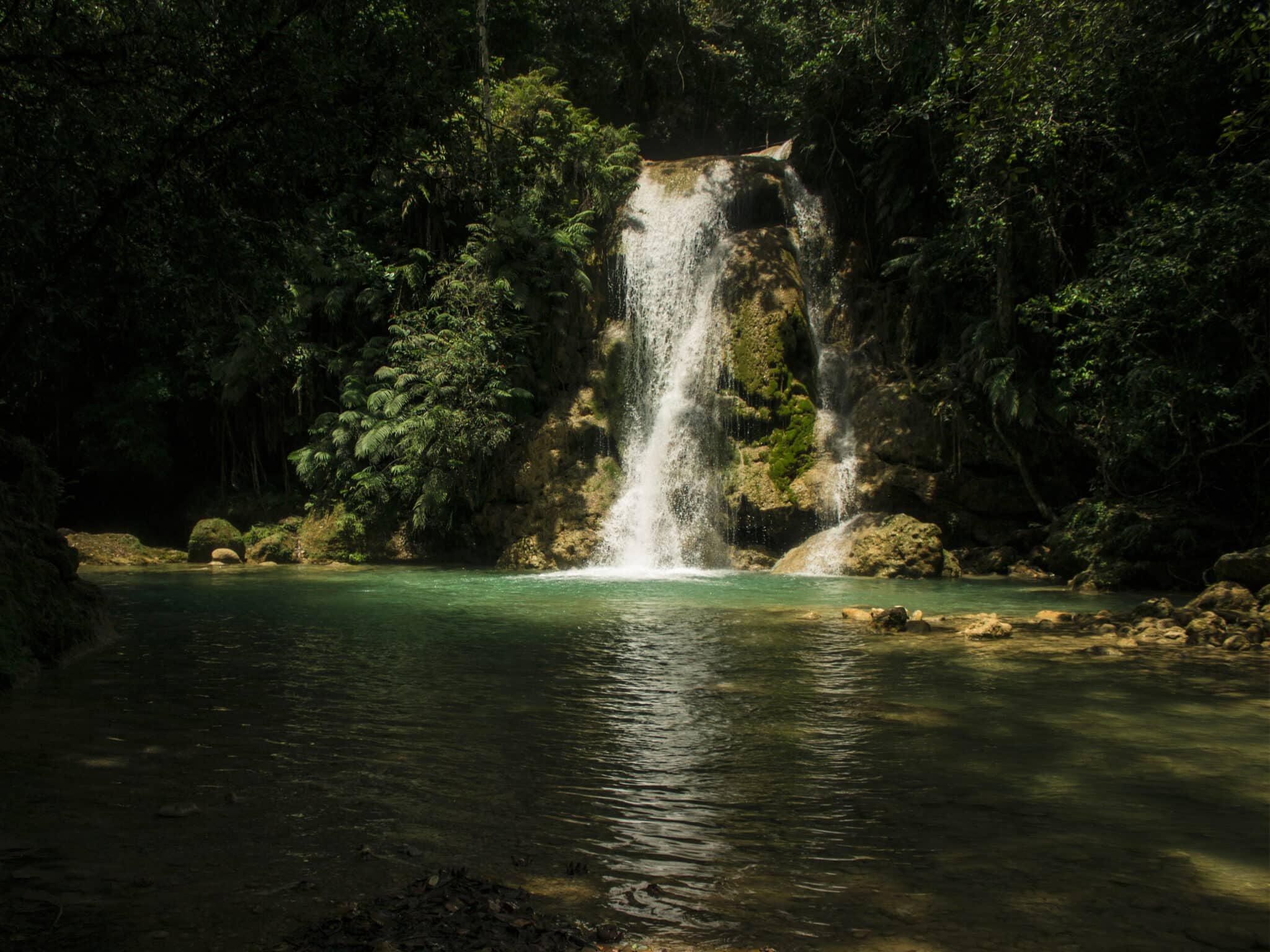 Excursion Samana - Cascade El Limon - Île Cayo Leventado