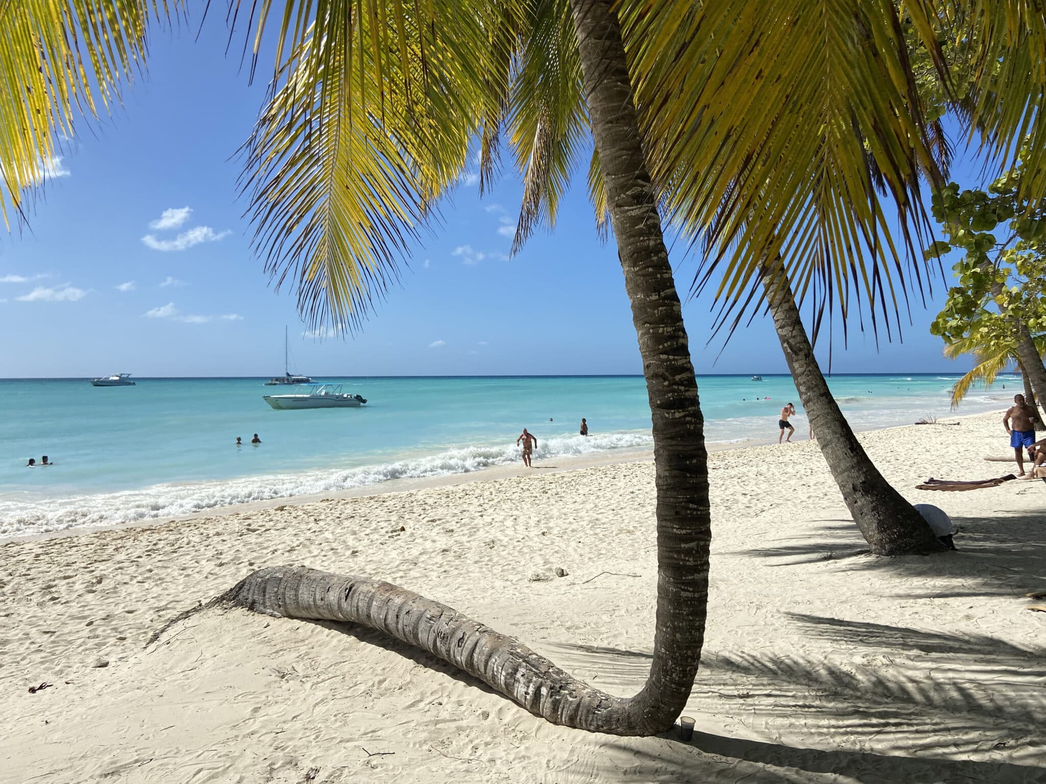 Visitez l'île de Saona au départ de Punta Cana - Excursion